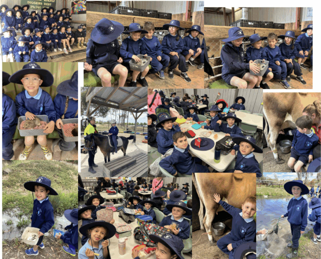 Incursions and Excursions - Cana Catholic Primary School